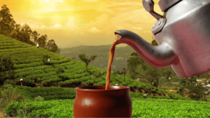 Assam Tea: A Quick Guide to This Delightful Black Tea – Tea Backyard