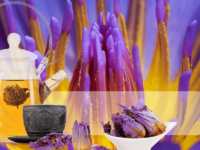 Blue Matcha: What Is It And Why You Should Try It – Tea Backyard