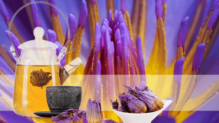 Blue Tea: What It’s Made Of And How To Brew It – Tea Backyard