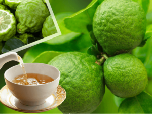 A Tea-Aficionado Guide To Tieguanyin Tea – Tea Backyard