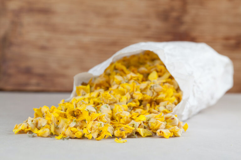 Mullein Tea: Benefits And Brewing Tips – Tea Backyard