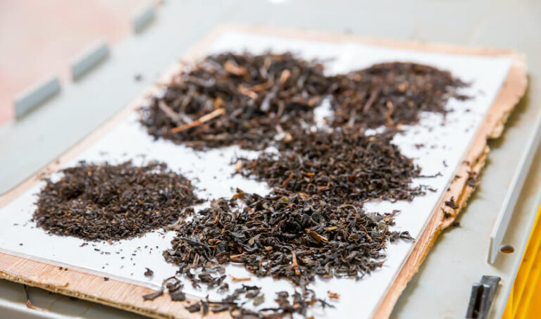 English Breakfast Tea: A Guide To A Beloved Classic – Tea Backyard