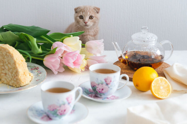 English Breakfast Tea: A Guide To A Beloved Classic – Tea Backyard