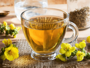 Mormon Tea: What Is It And How Does It Taste? – Tea Backyard