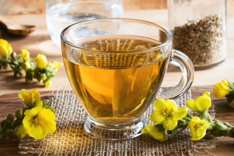 Mullein Tea: Benefits And Brewing Tips – Tea Backyard