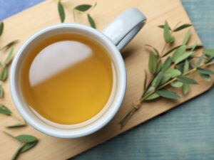 Mormon Tea: What Is It And How Does It Taste? – Tea Backyard