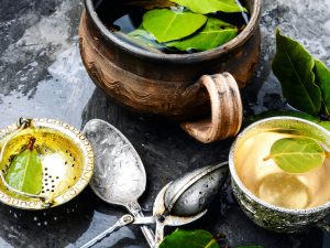 Mormon Tea: What Is It And How Does It Taste? – Tea Backyard