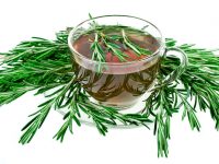 Lemon Tea: A Guide To Different “Lemony” Tea Types – Tea Backyard