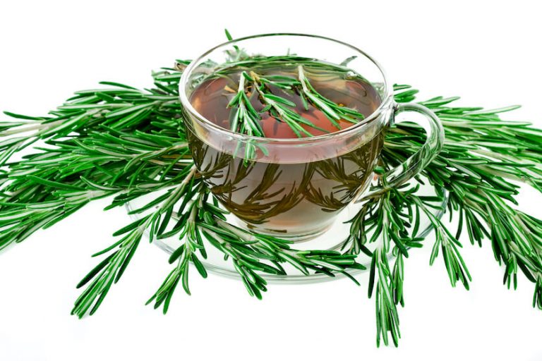 Rosemary Tea: Why Try This Flavorful Tisane – Tea Backyard